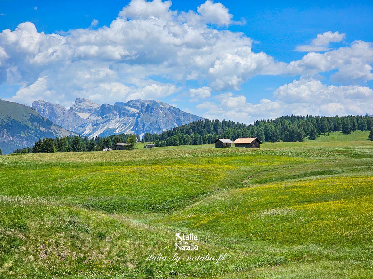 ALPE DI SIUSI (Seiser Alm) - łatwe szlaki koło Ortisei. Dolomity