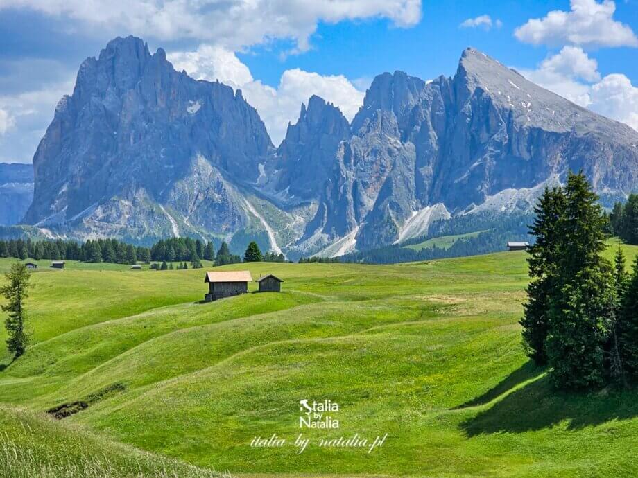 ALPE DI SIUSI (Seiser Alm) - łatwe szlaki koło Ortisei. Dolomity